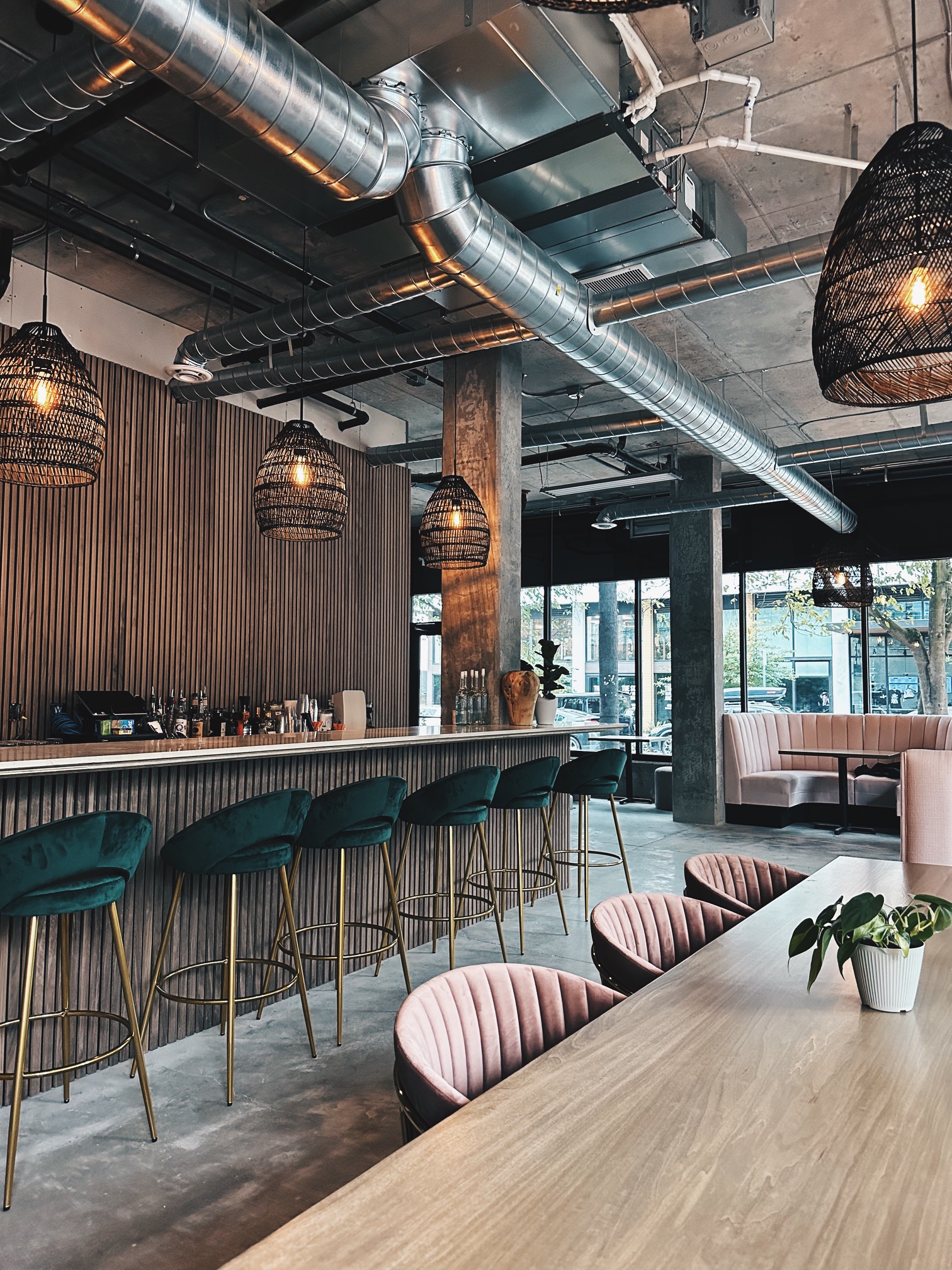 New Ballard Bar/Restaurant 'The Ivy' Opens This Week - EatSeattle