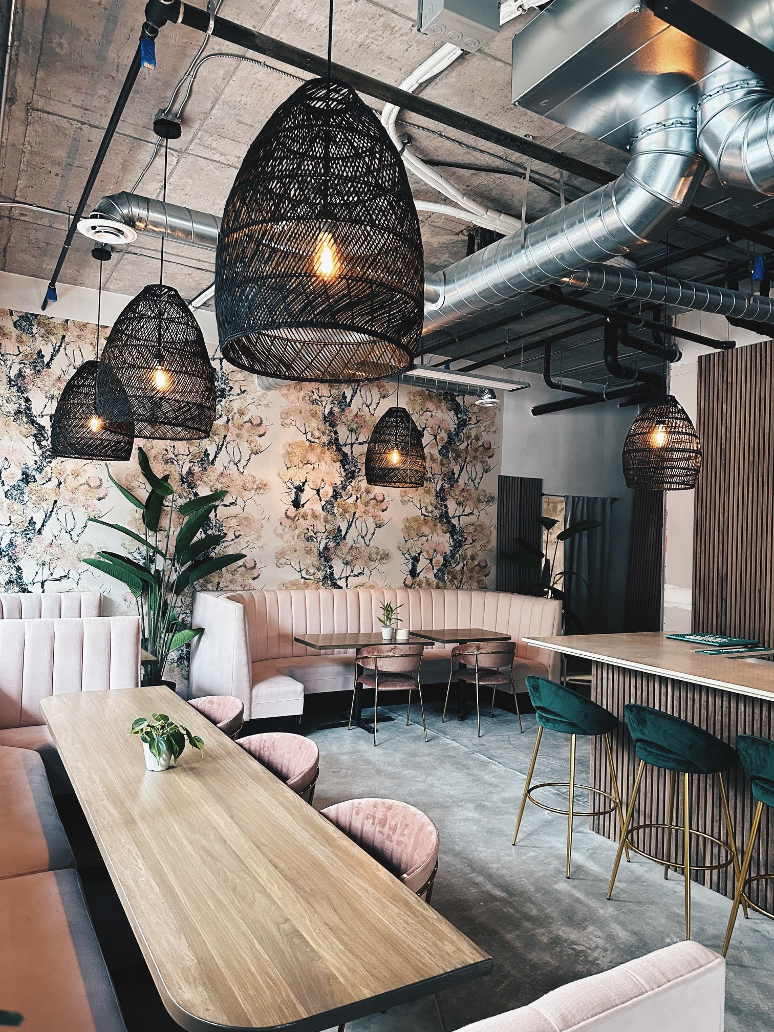 New Ballard Bar/Restaurant 'The Ivy' Opens This Week - EatSeattle